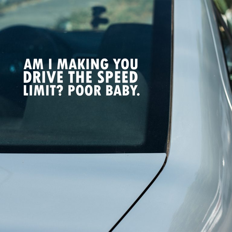 Am I making you drive the speed limit, cool decal,car sticker decal ...