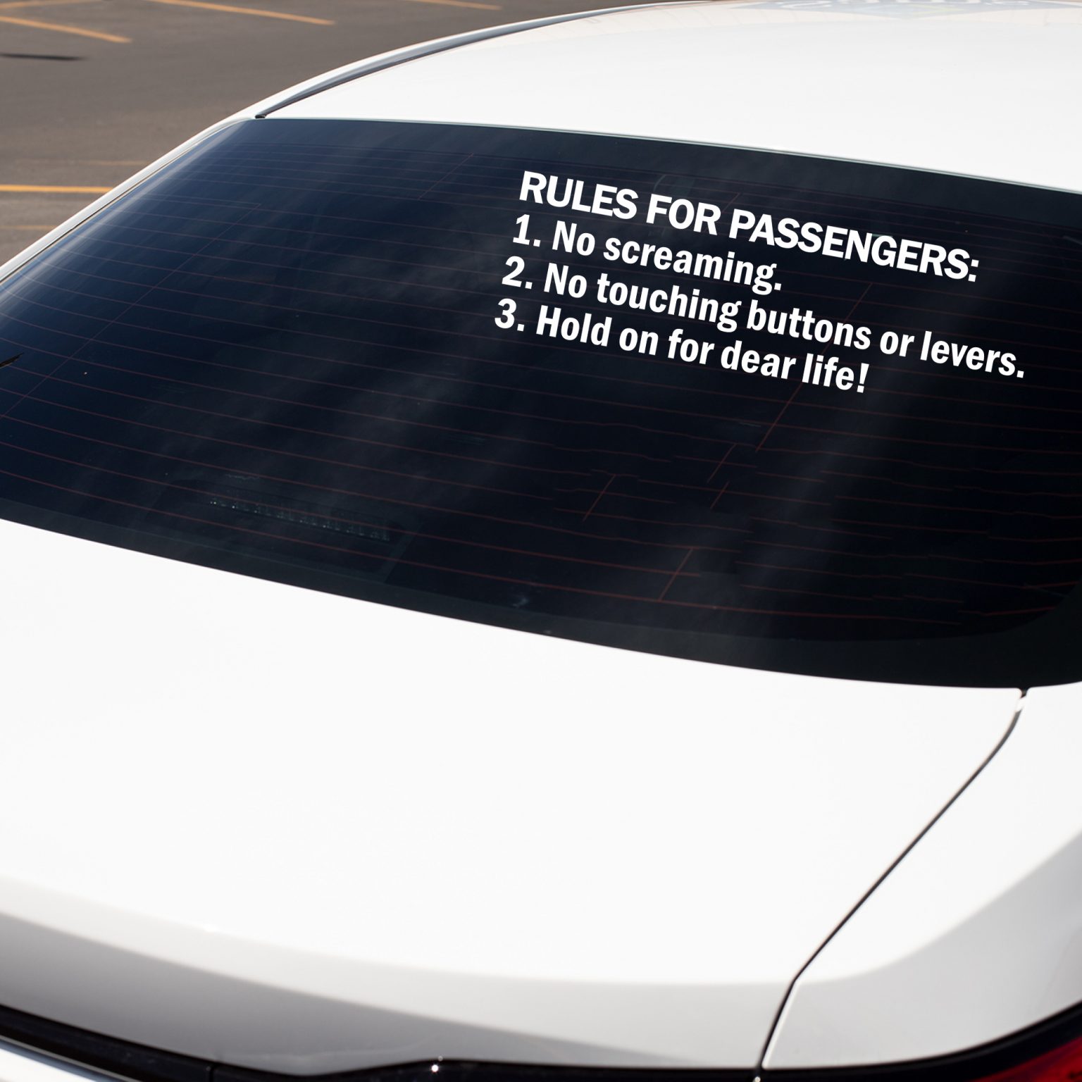 Rules for passengers, cool decal,car sticker decal - Forged N Fast