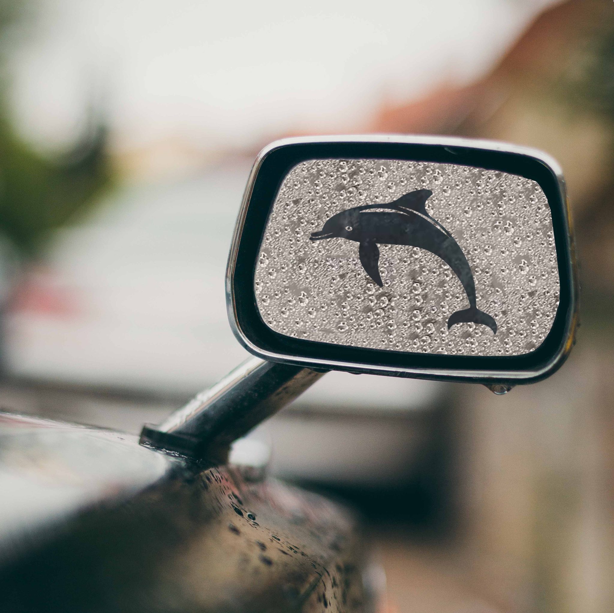 Dolphin Mirror Peeker: Hydrophobic Rain Fog Film | Cute Shape Car ...
